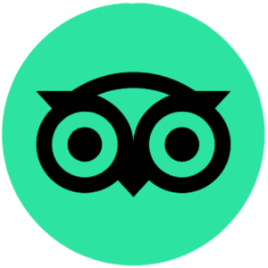 Que mangent les différentes espèces de requins ? Guide sur l ...