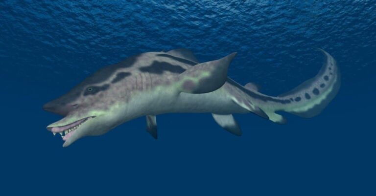 A Journey Through Time: 🔍 The World of Extinct Sharks
