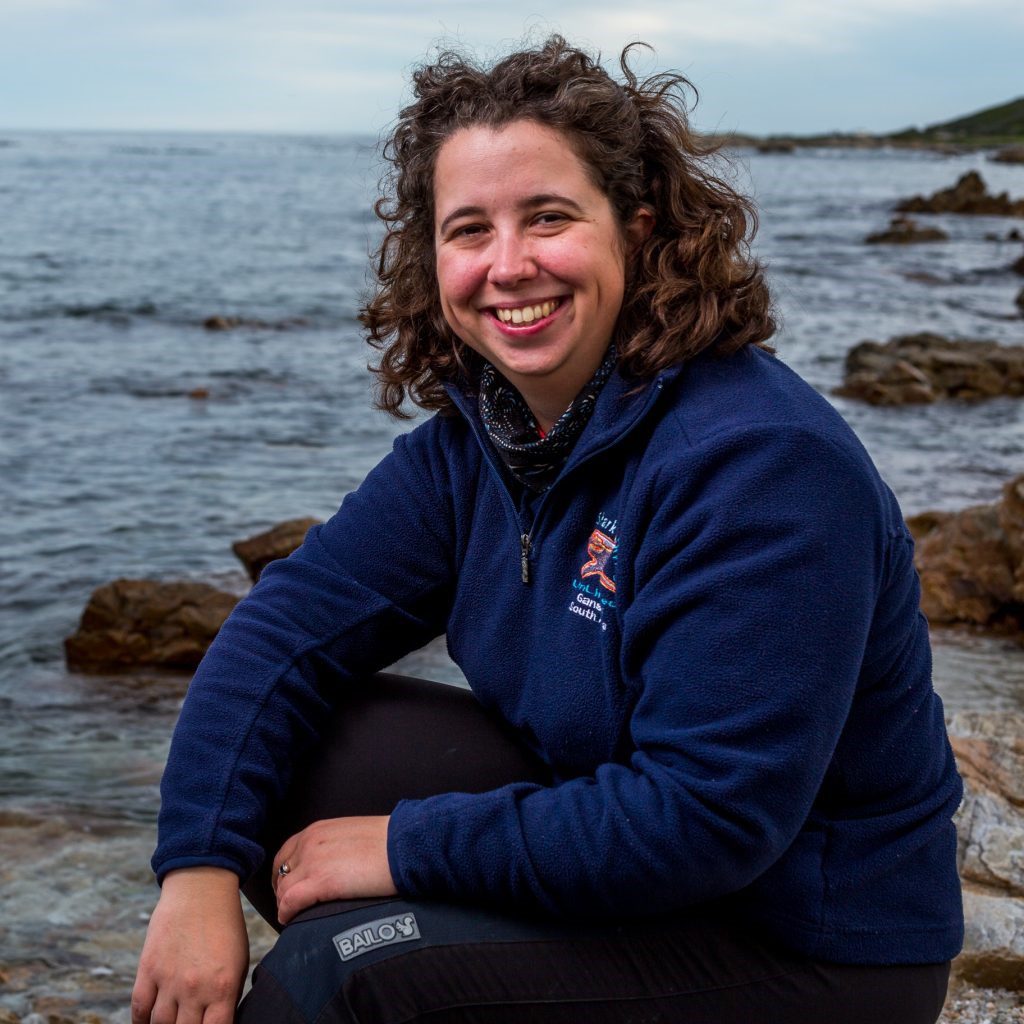 Top Shark Researchers and Their Marine Science Contributions