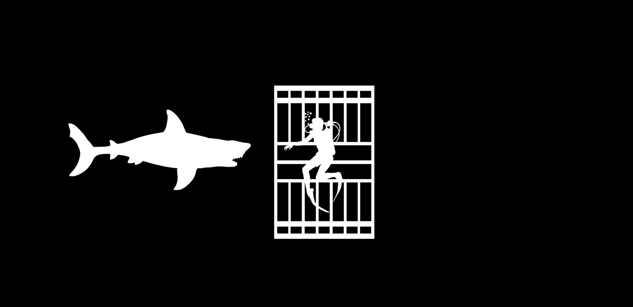 What to look for when Booking a Shark Cage Diving Excursion