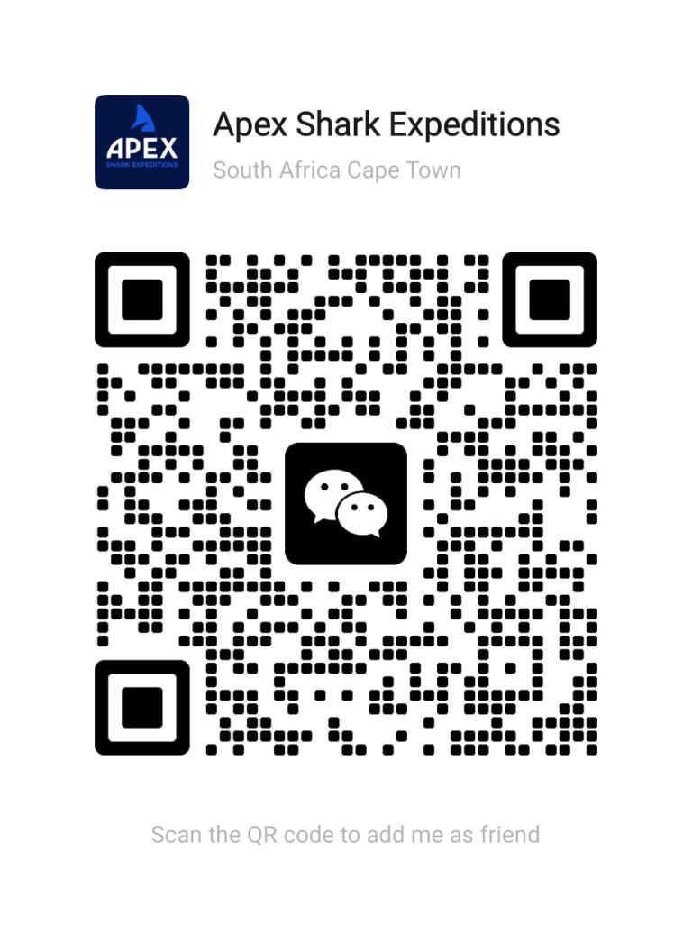 Unveiling the Apex Predators: The World's Strongest Sharks